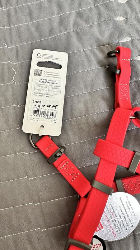 WAUDOG Waterproof Dog Harness with QR Tag, Blue, Large - Chewy.com