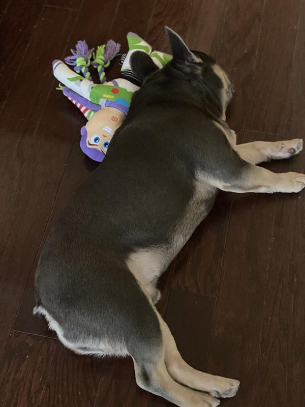 PIXAR Buzz Lightyear Plush with Rope Squeaky Dog Toy - Chewy.com