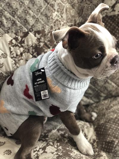 Disney Mickey Mouse Confetti Dog & Cat Sweater, Large - Chewy.com