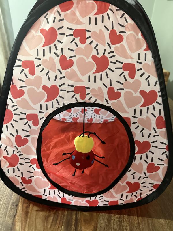 Temporarily Unavailable - FRISCO Valentine Love Bug Pop-Up Tent Cat Toy ...