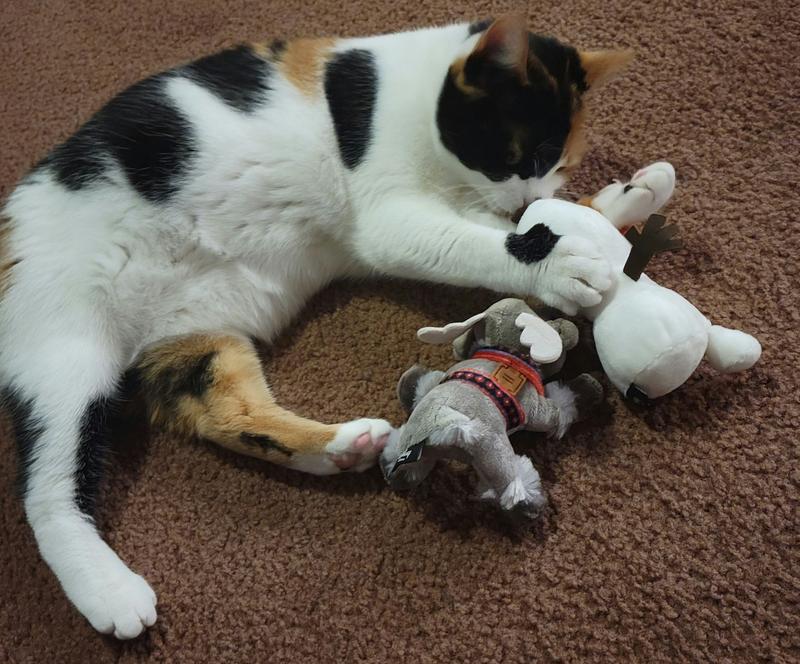 DISNEY Frozen's Olaf & Sven Plush Cat Toy with Catnip, 2 count - Chewy.com