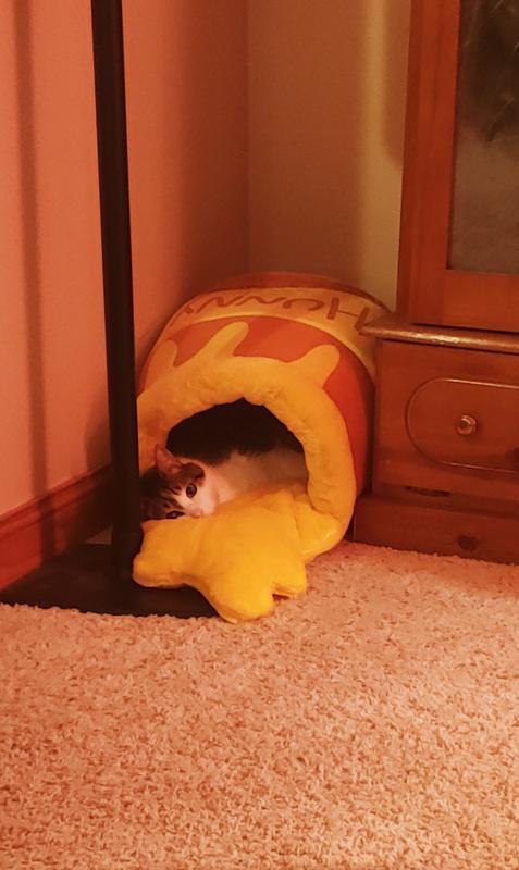 DISNEY Winnie the Pooh Honey Pot Covered Cat & Dog Bed - Chewy.com