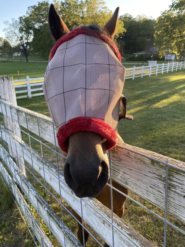 FARNAM SuperMask II Horse Fly Mask Classic Collection, Color Varies ...