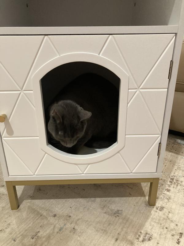 FRISCO Elevated Side Table Litter Box Cover - Chewy.com