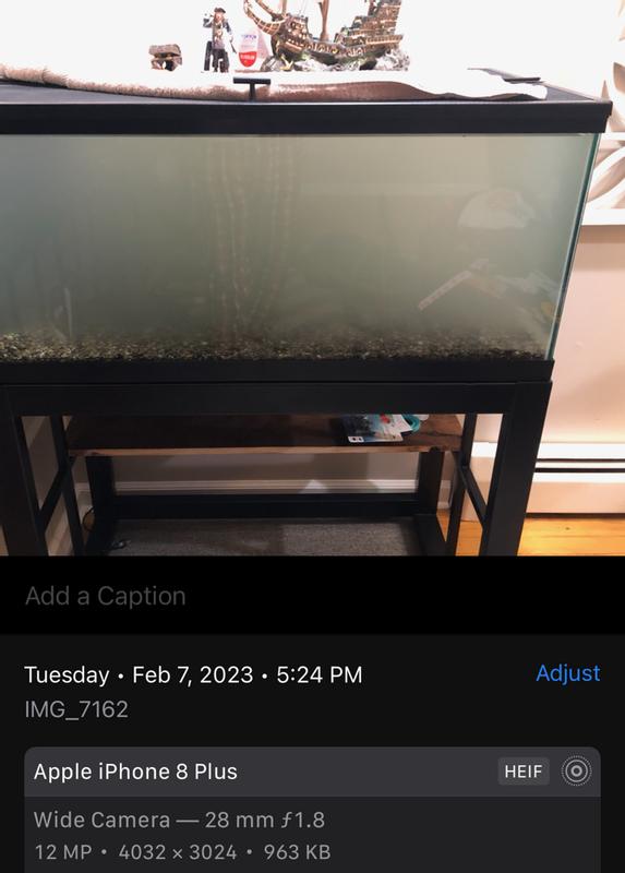 ACTIV-FLORA Planted Aquarium Substrate, Floragems, 20-lb bag - Chewy.com