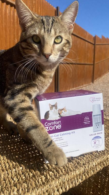 COMFORT ZONE Multi-Cat Calming Diffuser Refill for Cats, 30 day, set of ...