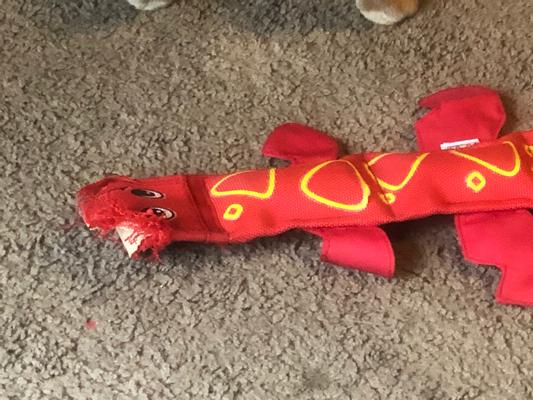 OUTWARD HOUND Fire Biterz Lizard Squeaky Dog Toy, Red, 3 squeak - Chewy.com