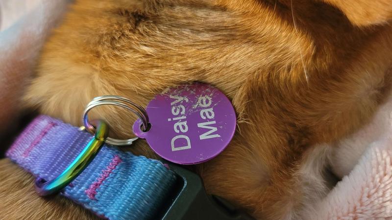 GOTAGS Anodized Aluminum Personalized Dog ID Tag, Round, Blue, Small ...
