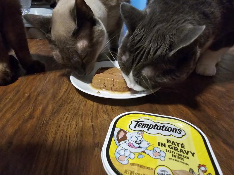 TEMPTATIONS Tasty Chicken Flavor Pate in Gravy Wet Cat Food, 3.5-oz ...