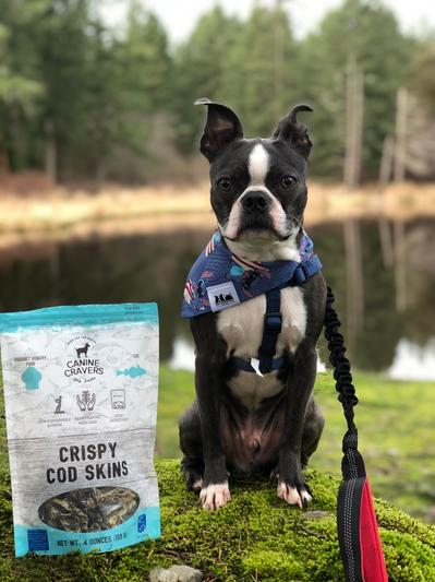 CANINE CRAVERS Crispy Cod Skins Dehydrated Dog Treats, 4-oz pouch ...