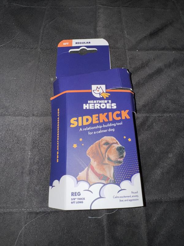 HEATHER'S HEROES The Sidekick Transitional Dog Training Leash, Blue ...