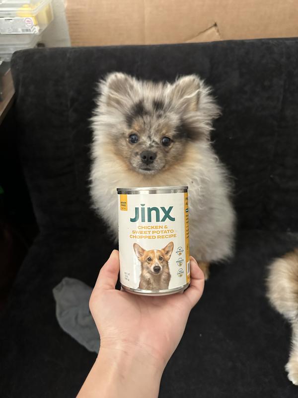 JINX Chicken & Sweet Potato Chopped Recipe Grain-Free Wet Dog Food, 13 ...