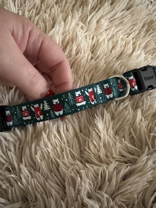 FRISCO Holiday Polar Bears Print Polyester Dog Collar, X-Small - Chewy.com