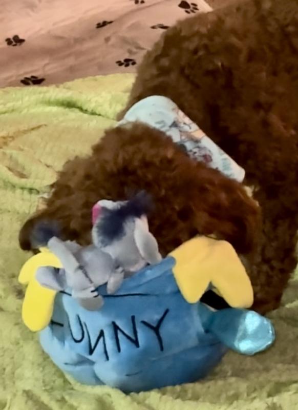 DISNEY Winnie The Pooh & Friends Hunny Pot Hide & Seek Puzzle Plush ...