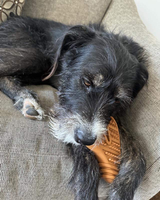 FRISCO Beef Flavored Steak Rubber & Nylon Chew Dog Toy for Heavy ...