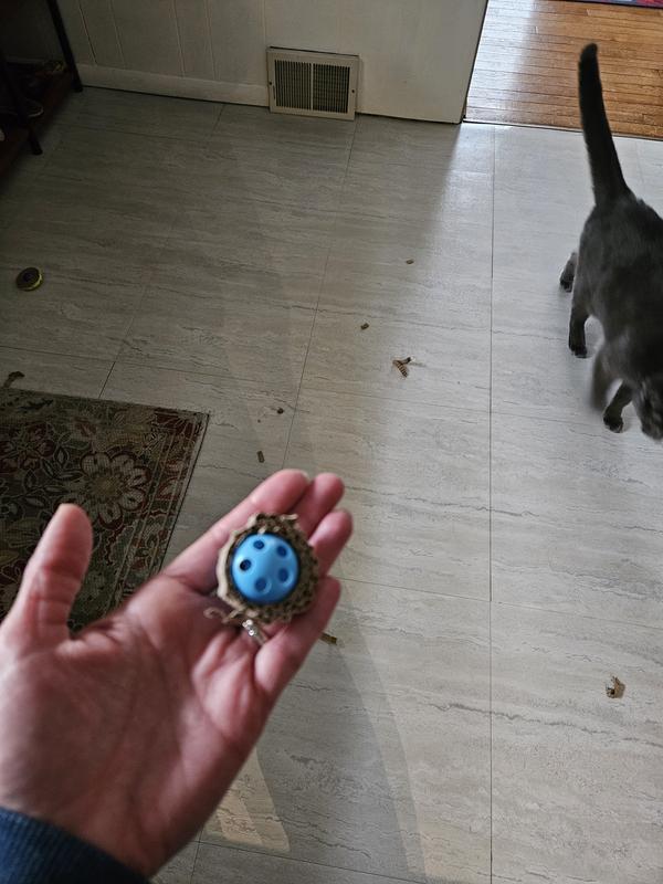 CATSTAGES Spin & Scratch Cat Toy, 2 count - Chewy.com