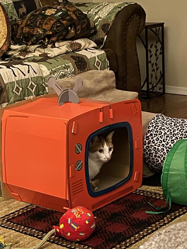 FRISCO TV Set Cardboard Cat House - Chewy.com