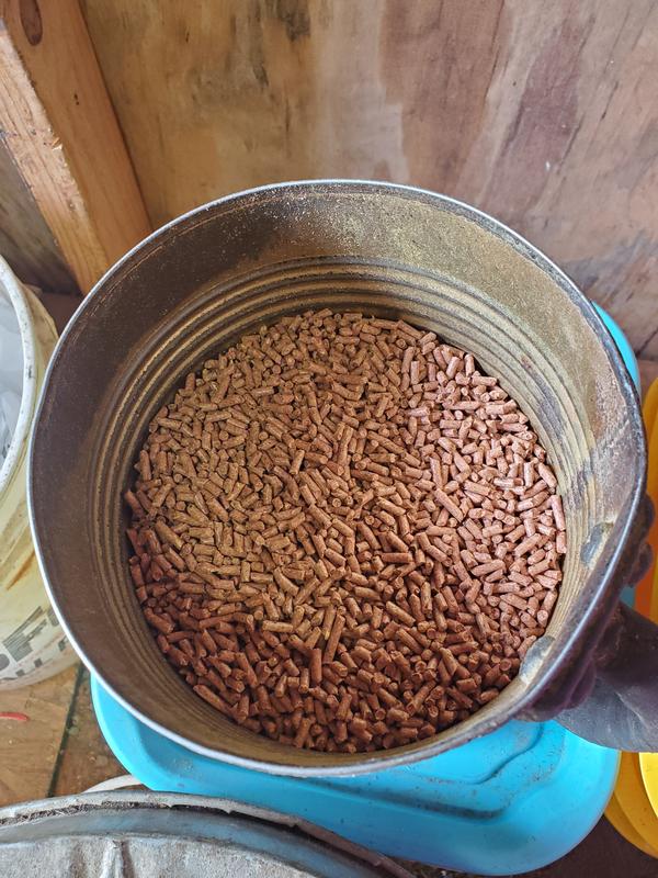 KEYFLOW USA Pink Mash Low Sugar & Low Starch Horse Feed, 33-lb bag ...