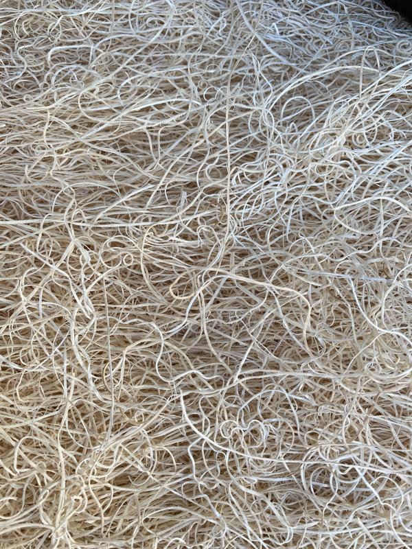 EATON PET & PASTURE USA Grown & Sustainably Harvested Bird Nesting Pad ...