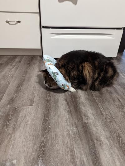 TOUCHCAT Ringlet Licking & Scratching Adjustable Pillow Cat Neck ...