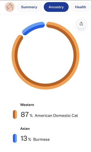 WISDOM PANEL Complete Cat DNA Test - Chewy.com