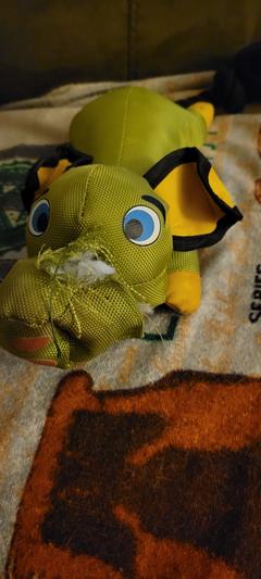 HYPER PET Flying Series Dog Toy, Flying Green Duck - Chewy.com