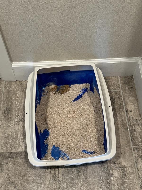 BOXIECAT Eco Farm to Box Premium Ultra Sustainable Clumping Cat & Kitty ...