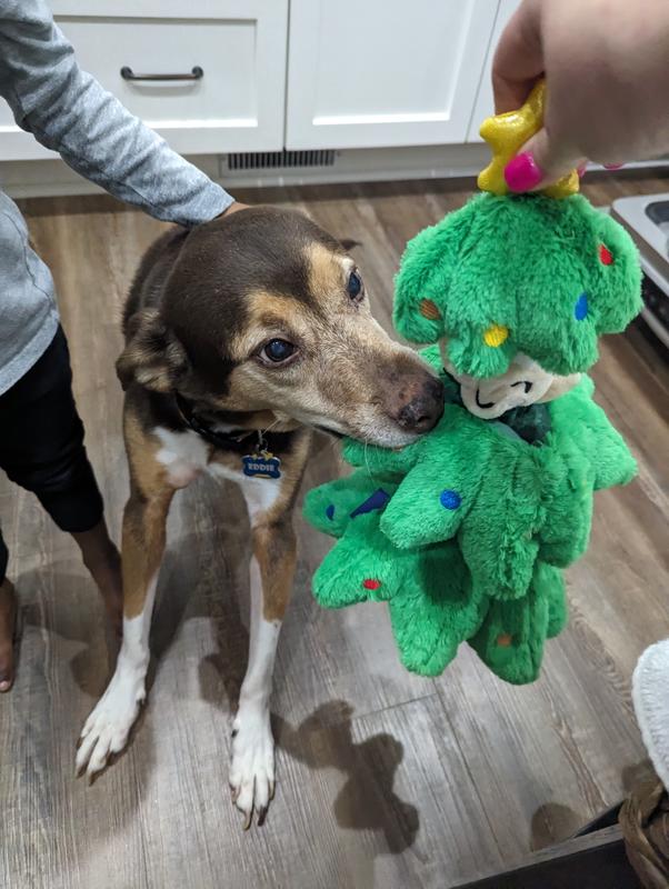 Out of Stock - FRISCO Holiday Elf in a Tree Bungee Plush Squeaky Dog ...