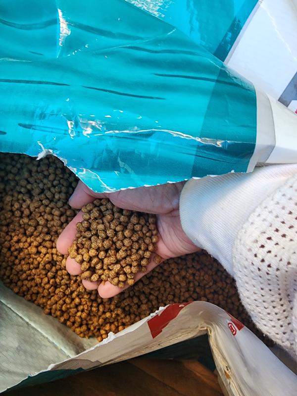 Purina AquaMax Pond Fish 4000 Extruded Fish Food, 50-lb bag - Chewy.com