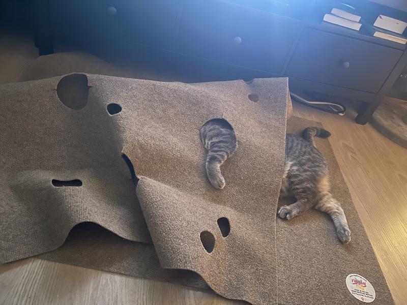 SNUGGLYCAT Ripple Rug Cat Activity Play Mat, Oatmeal White - Chewy.com