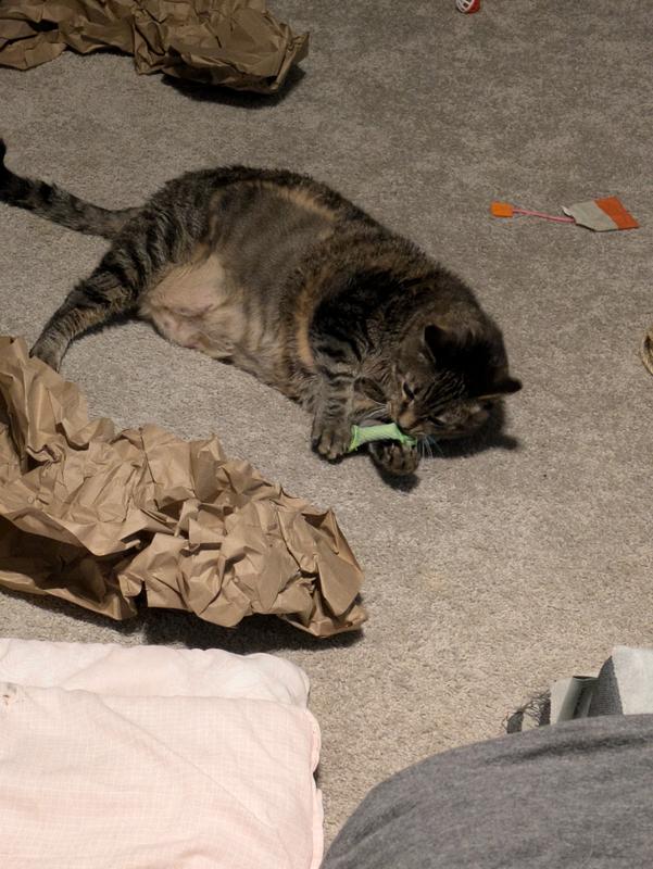 CATSTAGES Fresh Breath Mint Stick Cat Chew Toy - Chewy.com