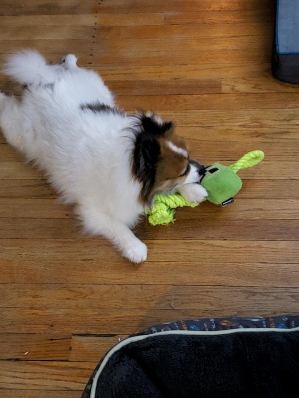 Discontinued - FETCH FOR PETS Minecraft Creeper Rope Squeaky Dog Toy ...