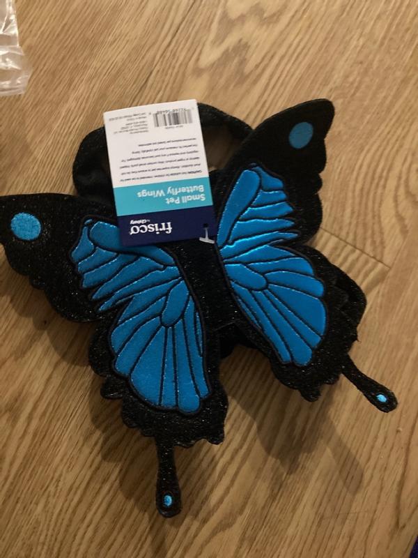 FRISCO Small Pet Butterfly Wings - Chewy.com