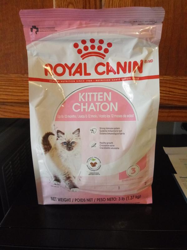 ROYAL CANIN Feline Health Nutrition Kitten Dry Cat Food, 7-lb bag ...