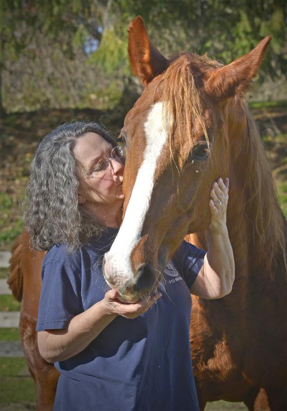 PERGOLIDE COMPOUNDED Capsule for Horses, 1.25-mg - Easy Refills | Chewy Rx