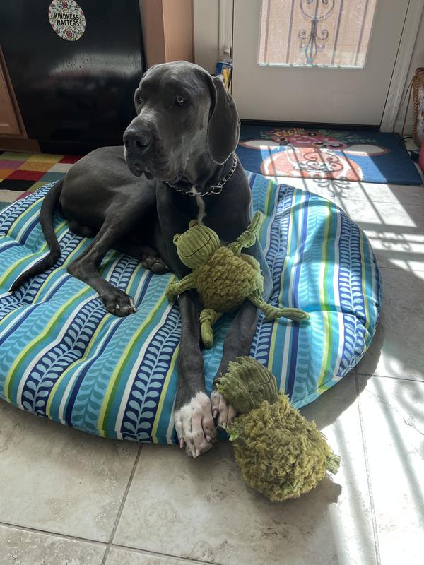 HUGGLEHOUNDS HuggleFleece FlufferKnottie Fiona the Frog Dog Toy, Large ...