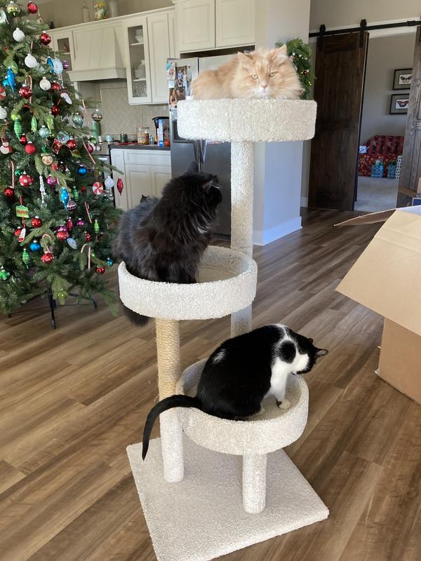 FRISCO 50-in Real Carpet Wooden Cat Tree, Gray - Chewy.com