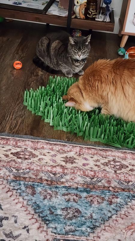 SMARTYKAT Instincts Meadow Mayhem Paper Grass Hide & Seek Cat Toy, 2 ...