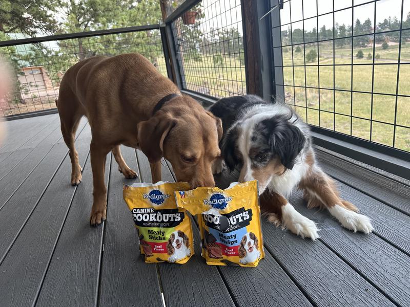 Discontinued - PEDIGREE Canine Cookout Beef Flavored High-Protein Adult ...