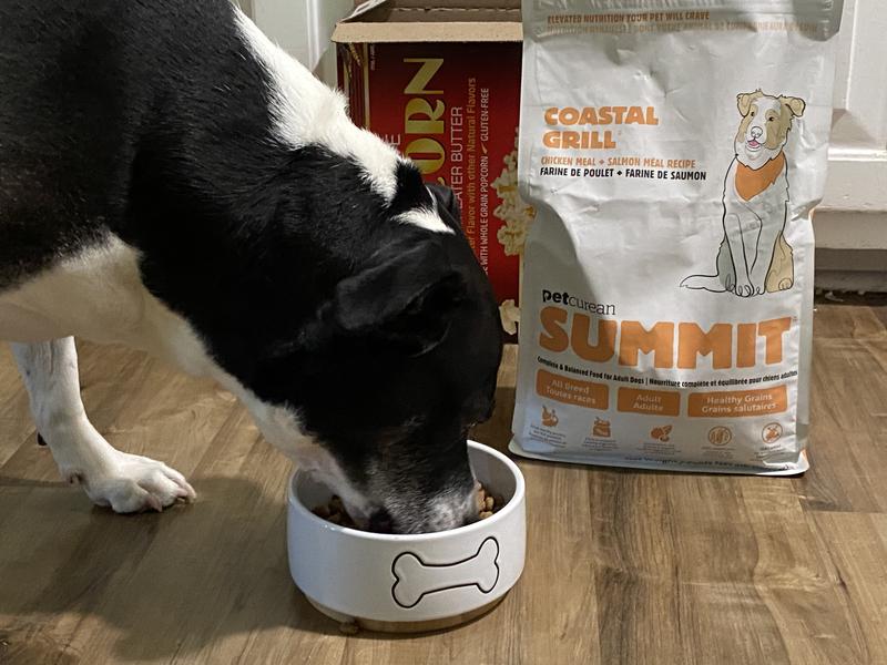 PETCUREAN SUMMIT Coastal Grill Adult Dry Dog Food, 25-lb bag - Chewy.com