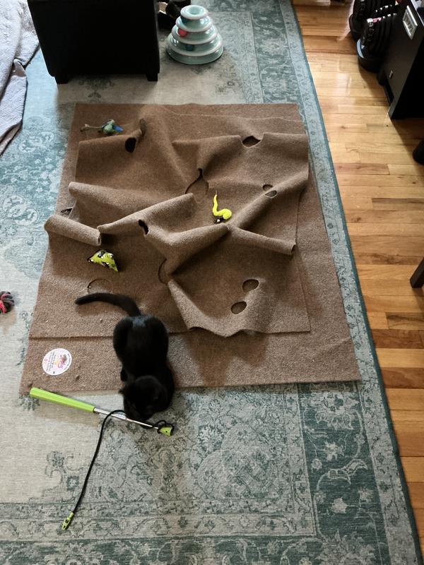 SNUGGLYCAT Ripple Rug Cat Activity Play Mat, Beige - Chewy.com