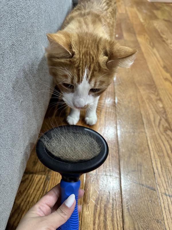 FRISCO Slicker Cat Brush - Chewy.com