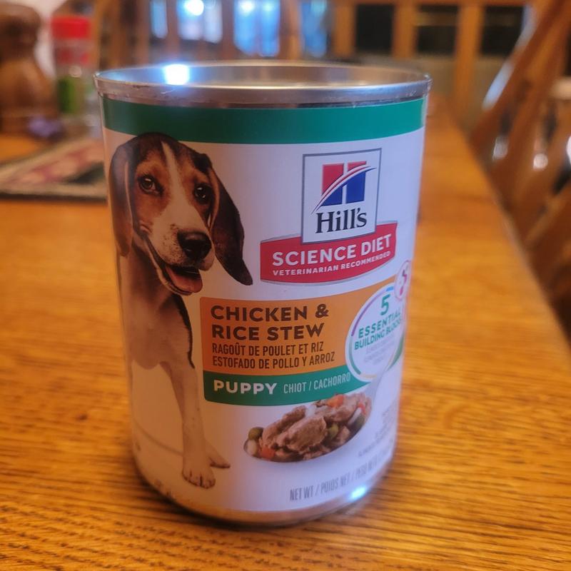 HILL'S SCIENCE DIET Puppy Chicken & Rice Stew Recipe Wet Dog Food, 12.5 ...