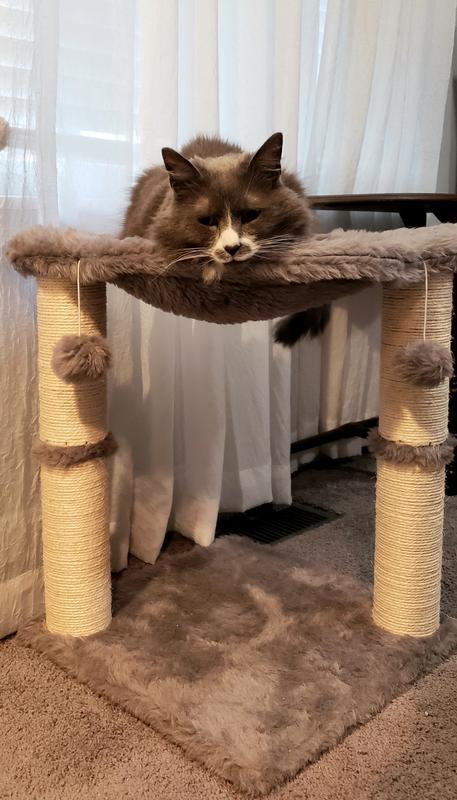 FRISCO 20-in Faux Fur Cat Tree, Ivory - Chewy.com