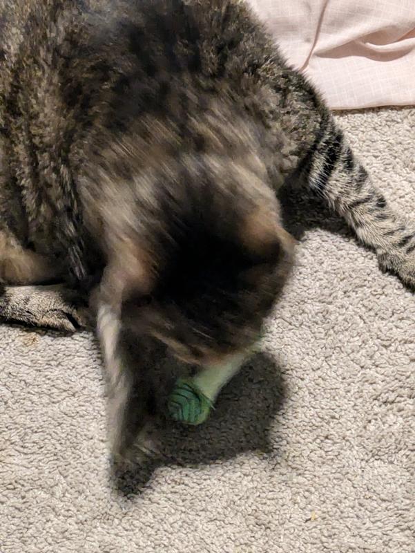 CATSTAGES Fresh Breath Mint Stick Cat Chew Toy - Chewy.com