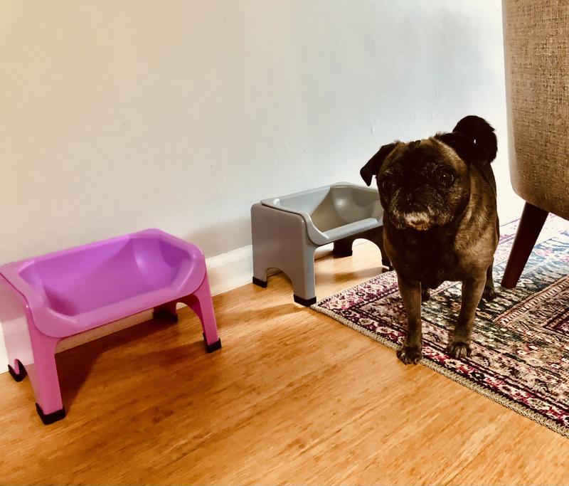 FLUFF TROUGH Elevated Dog & Cat Feeder, Purple, Standard - Chewy.com