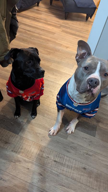 PETS FIRST NFL Dog & Cat Jersey, Buffalo Bills, X-Large - Chewy.com