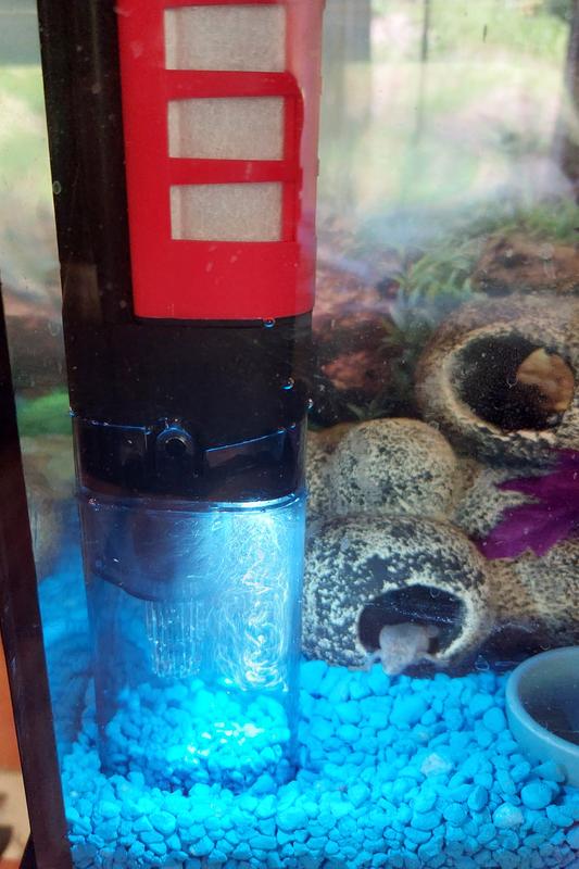 FLUVAL Pro Vac Fish Aquarium Maintenance Kit - Chewy.com