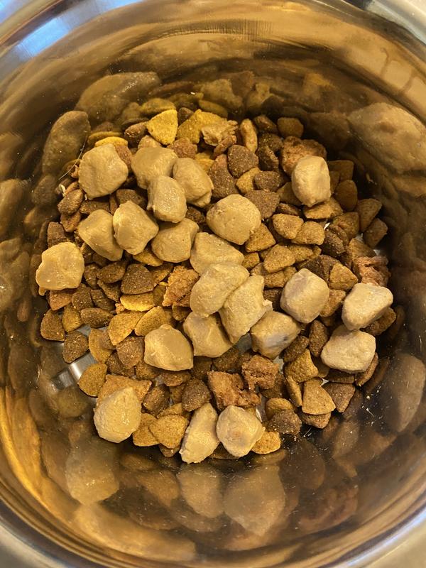 Out of Stock - SOLID GOLD Chicken Flavor Gut Health High-Protein Dry ...