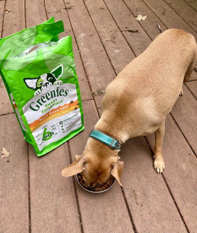 GREENIES Smart Essentials Small Breed Adult High Protein Real Chicken ...
